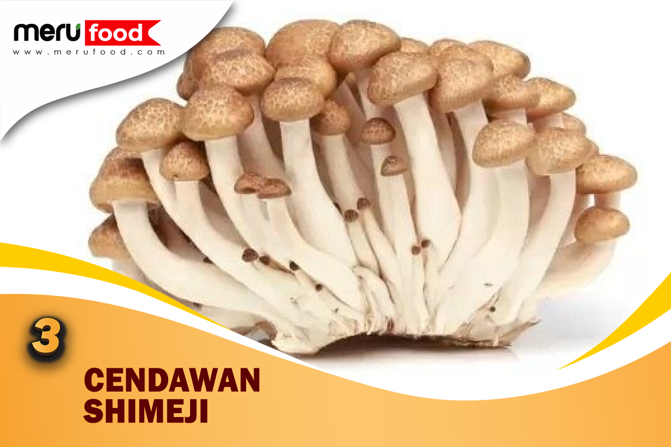 3 Jenis Cendawan Yang Popular Untuk Hidangan Sihat – Meru Food